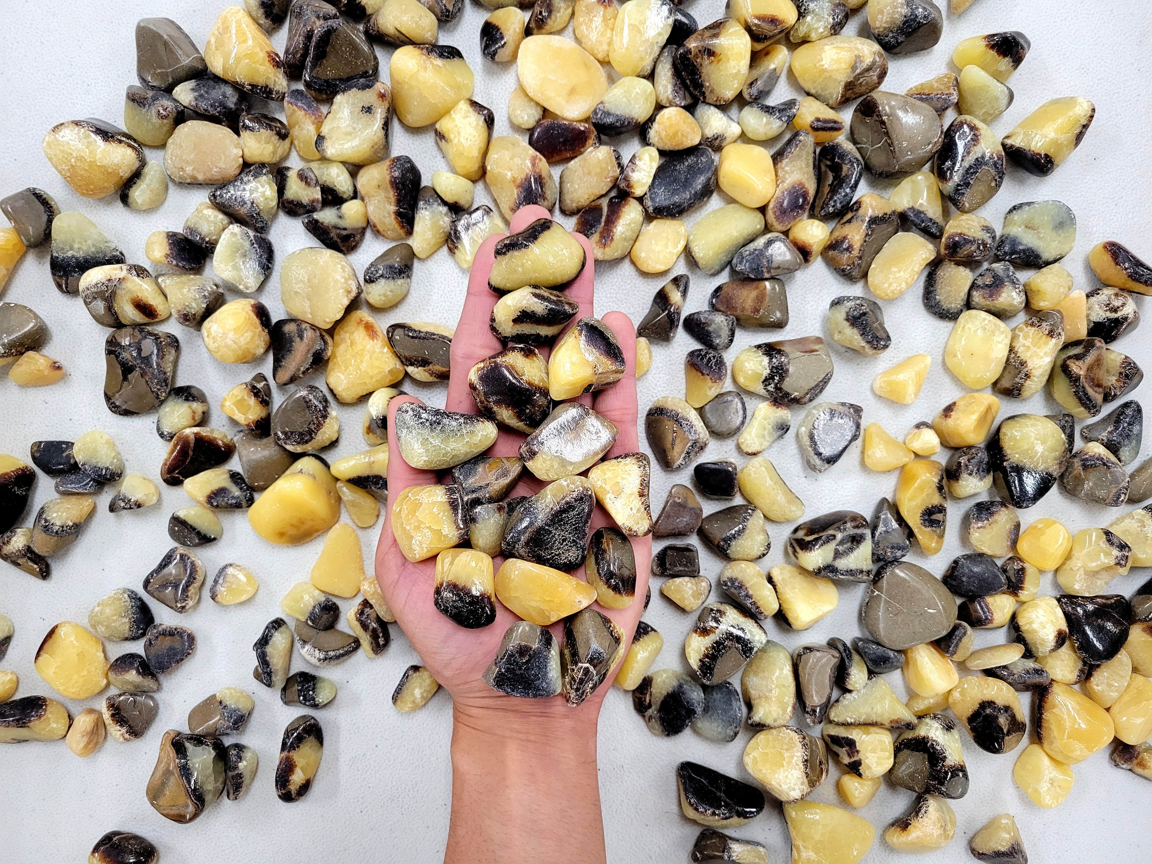 Tumbled Septarian Crystals - Bulk Tumbled Stones – VINACRYSTALS